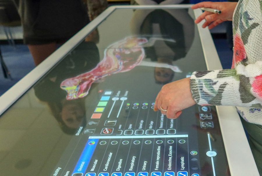 Learning Experience - McTimoney College of Chiropractic